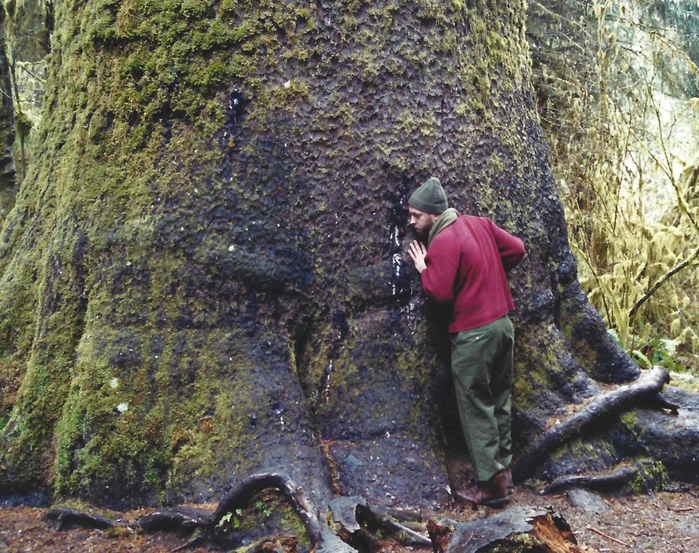 Wayward Music SeriesWayward in Limbo #51: Dave Knott - Wayward Music ...