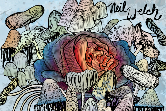 Wayward Music SeriesNeil Welch - Wayward Music Series | November 11, 2021